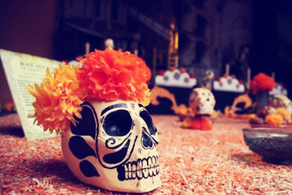 Disfruta del corredor de ofrendas de manera digital