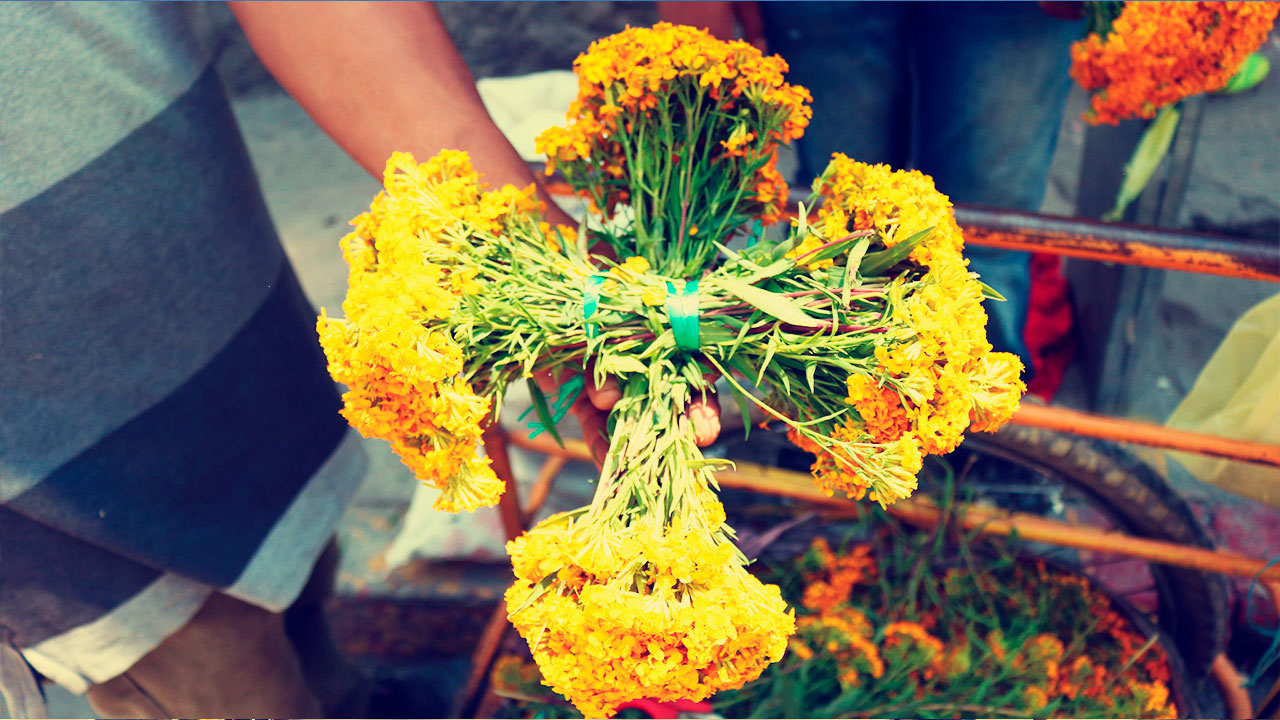 ¿Qué es la tradición del pericón?